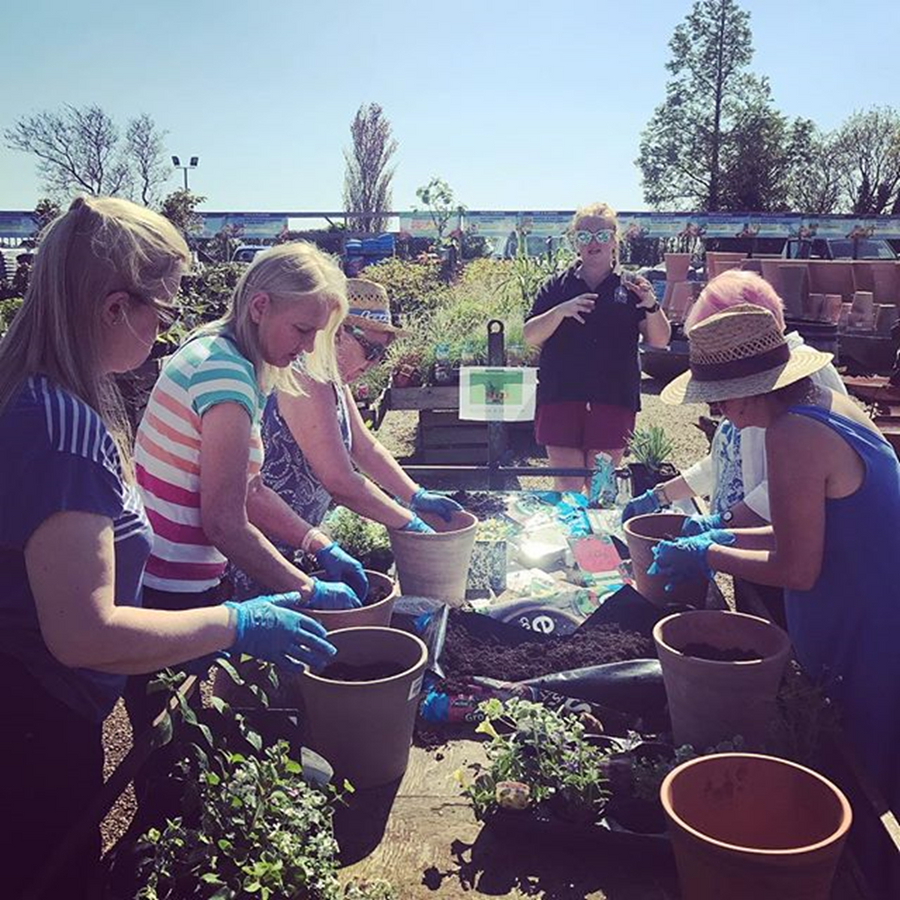 Plant Workshops – Lime Cross Nursery