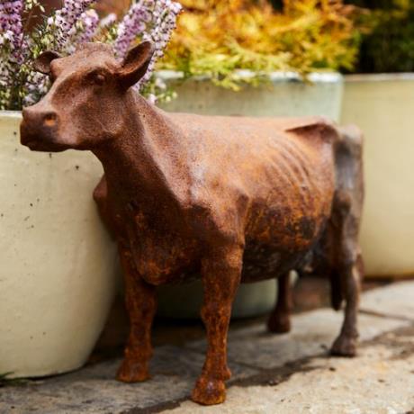 Standing Cow For Sale – Lime Cross Nursery